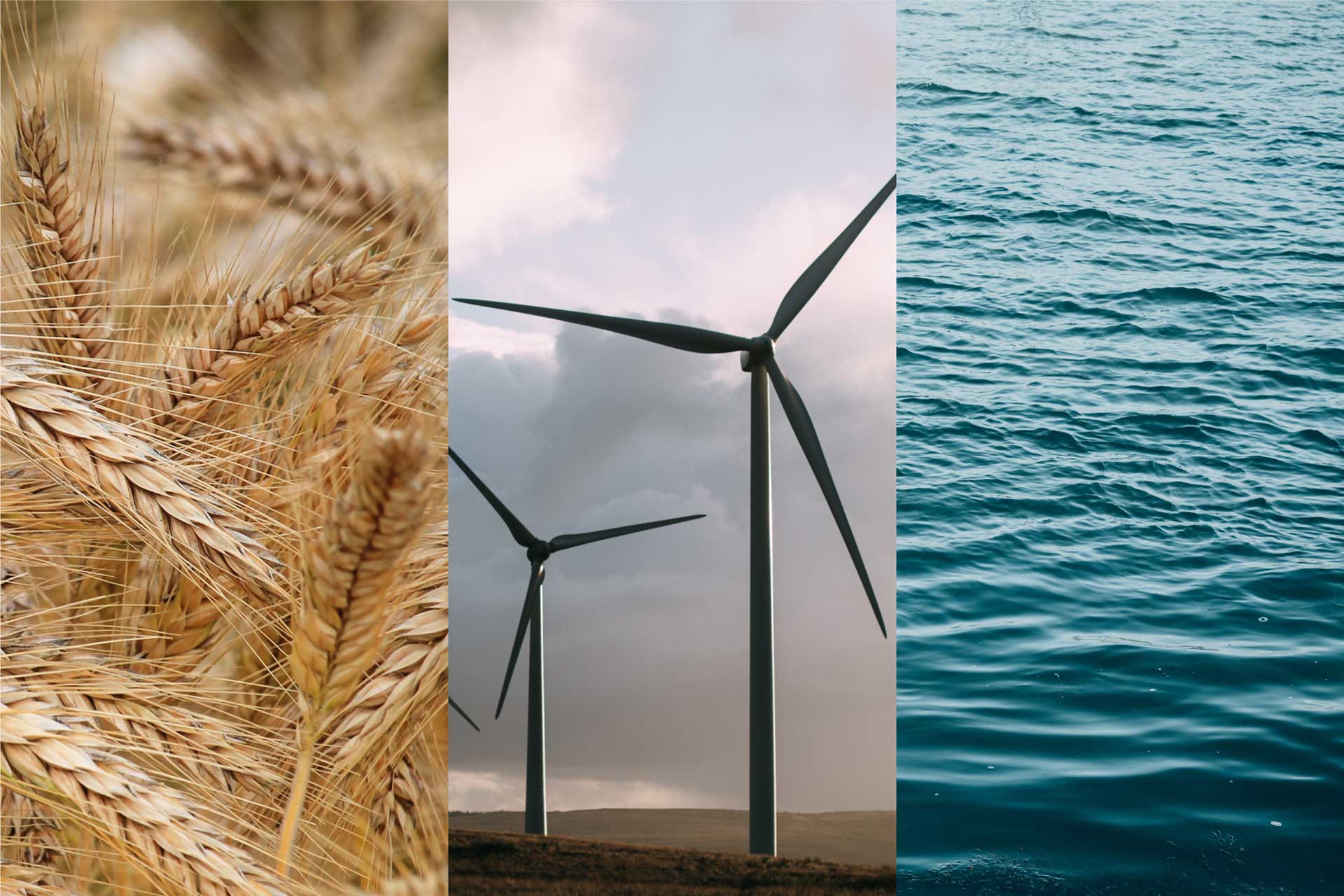 WEF Nexus in Africa Brown Bag Seminar Recap – WEF Nexus