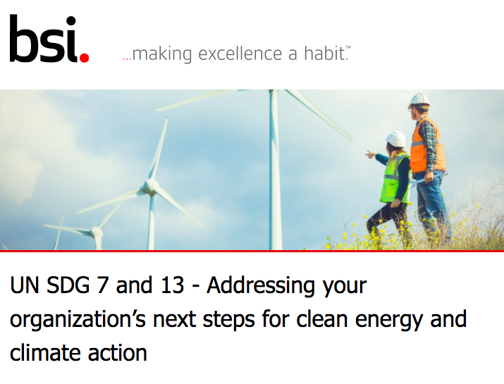 UN SDG 7 and 13 - Addressing Your Organization’s Next Steps for Clean ...